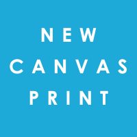 Donovan – Official site